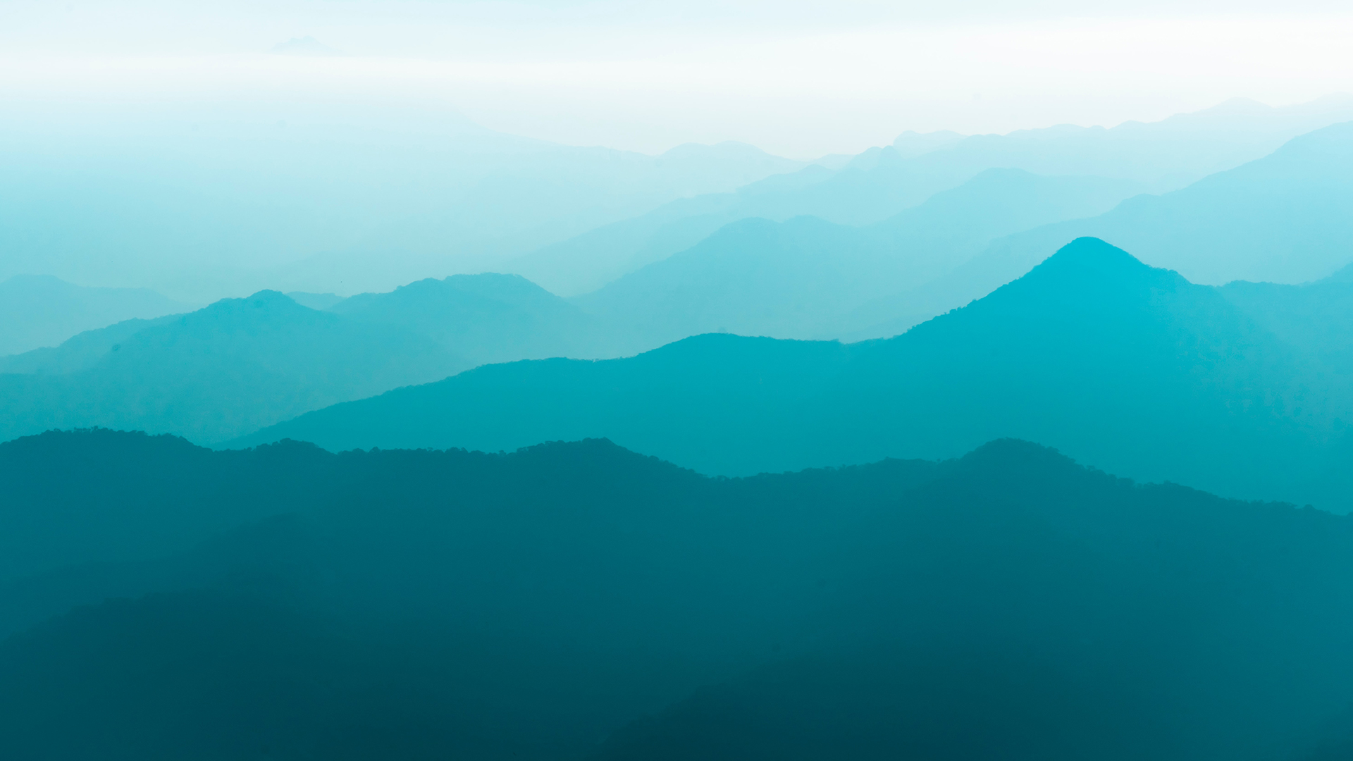 Medicare Cards: What To Know - Sovereign Select Insurance